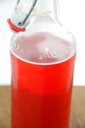 Copycat Gatorade Recipe - Flavorite