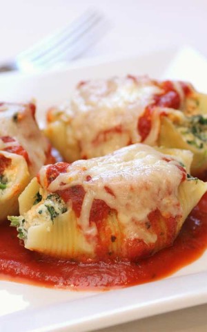 Cheese and Chicken Shells Recipe - Flavorite