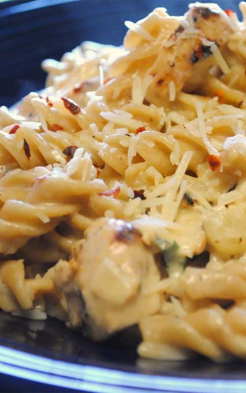 White Cheddar Chicken Pasta Recipe - Flavorite